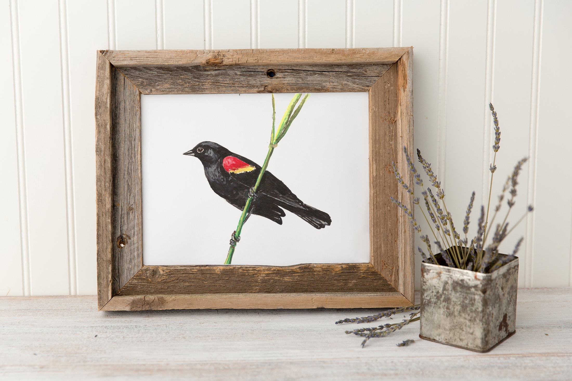 Red Wing Blackbird Print, Red Wing Blackbird, Blackbird Print ...