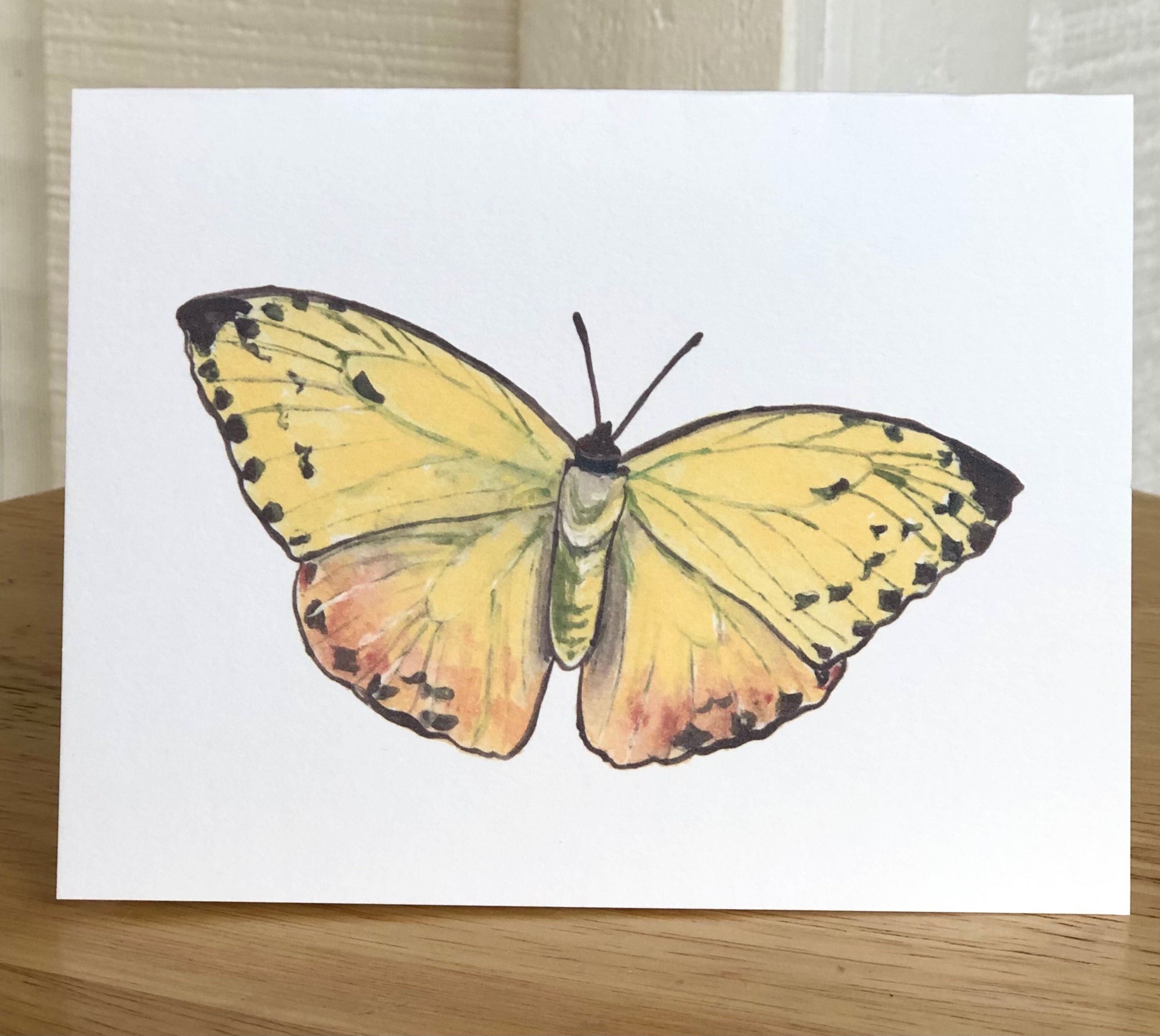 Butterfly Notecards, Butterfly Stationery, Blank Inside, With Envelopes ...