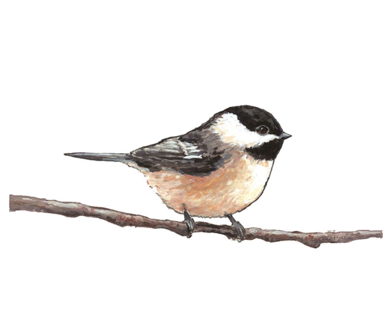 Bird Print Set Bird Prints Bird Prints Wall Art Set of 9 | Etsy