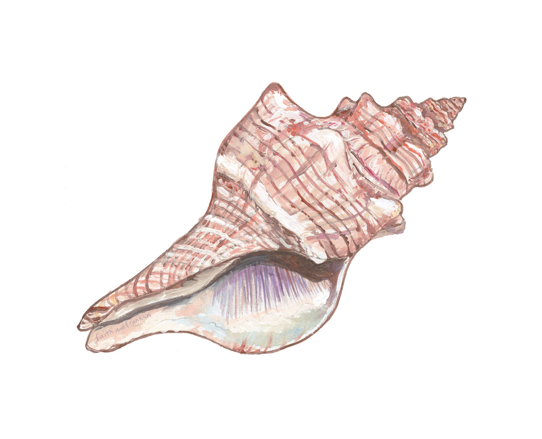 Conch Shell Paintings