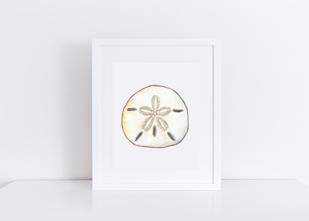 Sand Dollar Painting, Sand Dollar Print, Sand Dollar Art, Seashell ...