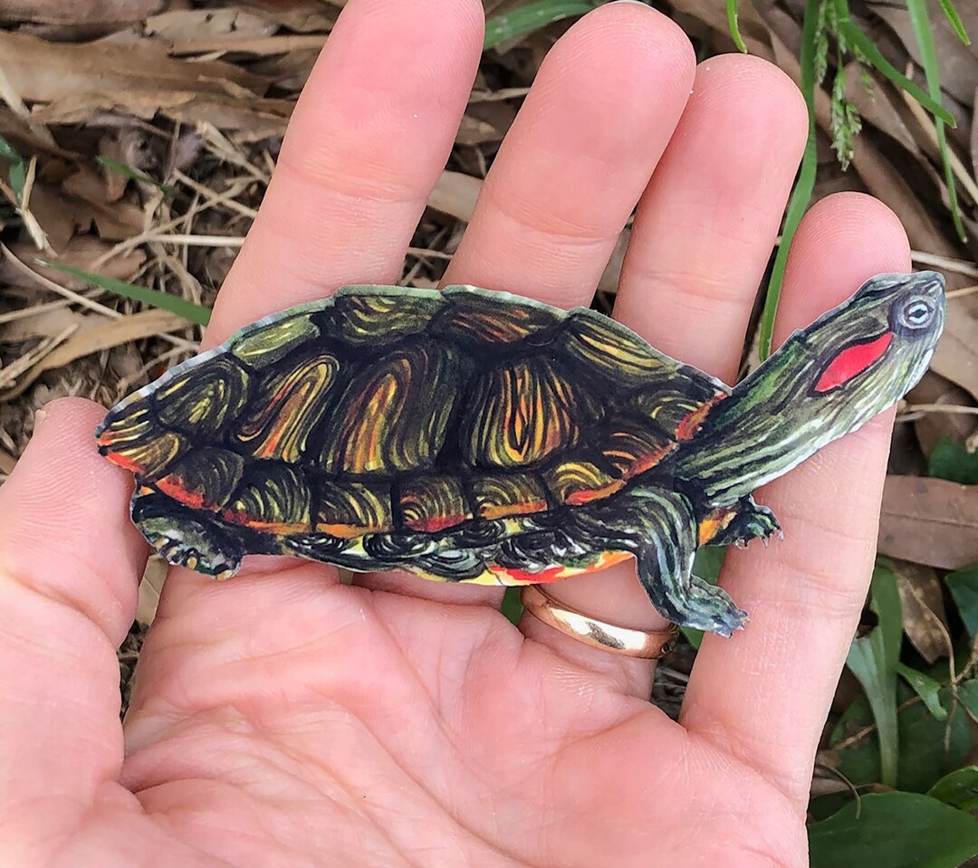 Turtle Sticker, Red Eared Slider, Water Resistant, Animal Decal ...