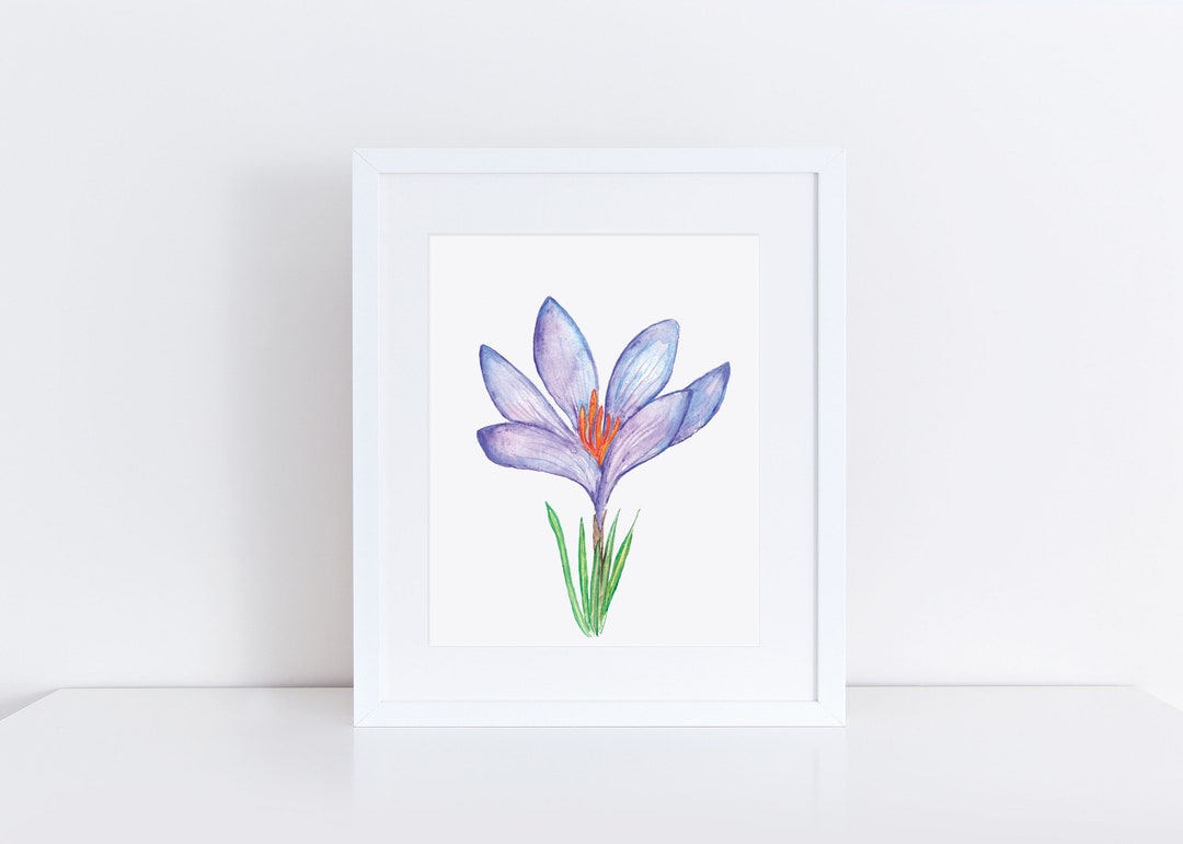 Crocus Print, Crocus Flower Art Print, Pastel Blue Flower Picture, Bulb ...