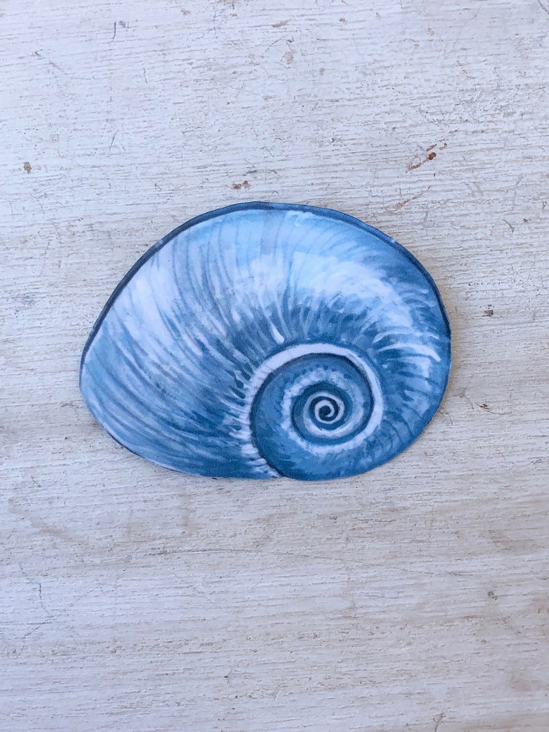 Moon Shell Sticker, Blue Seashell, Water Resistant, Souvenir Decal ...