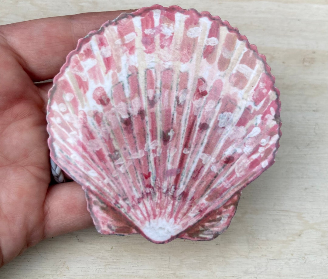 Pink Scallop Shell Sticker, Water Resistant, Decal, Beach Lover Gift ...