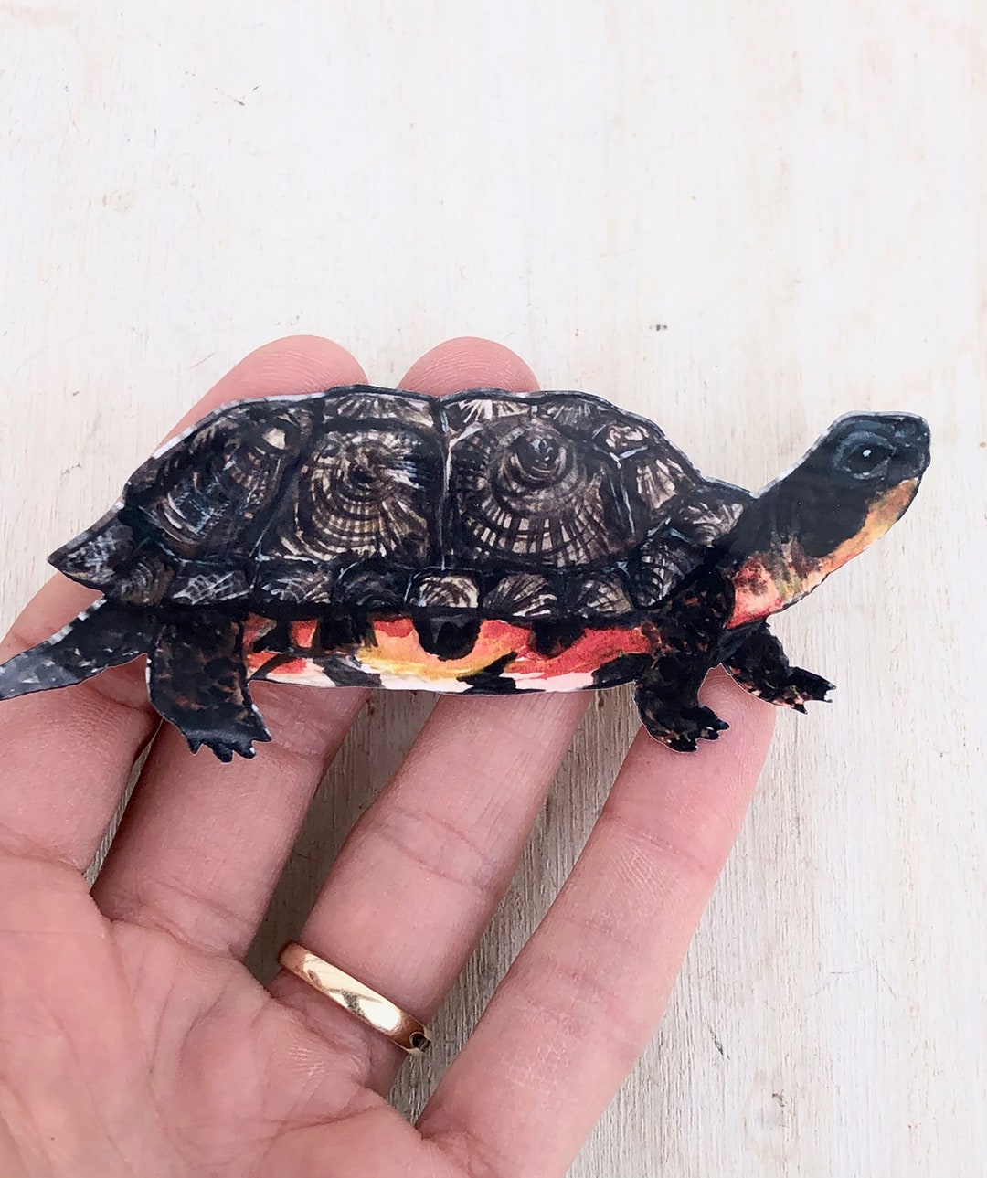 Turtle Sticker, Wood Turtle, Water Resistant, Animal Decal, Realistic ...