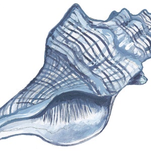 Conch Shell Sticker, Blue Seashell, Water Resistant, Beach Decal, Beach ...