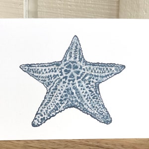 Seashell Notecards, Beach Stationery, Blue and White, Sand Dollar ...
