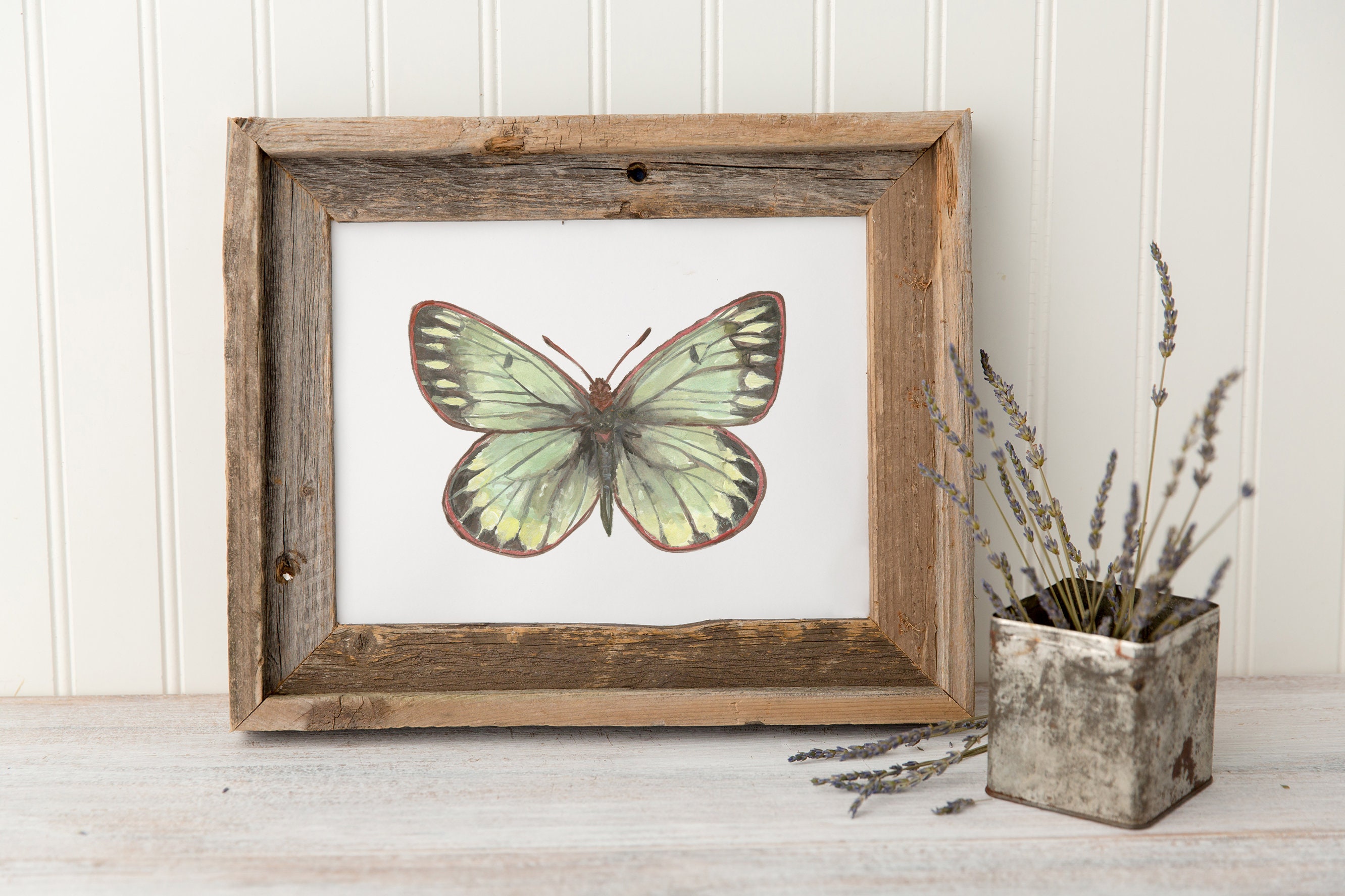 Butterfly Print, Green Sulfur, Green Butterfly, Butterfly Painting ...