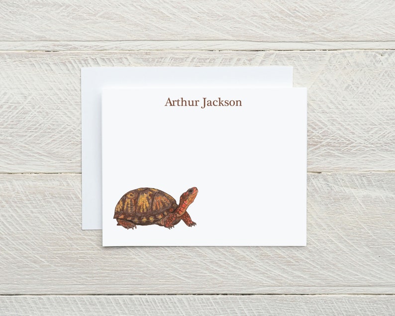 Personalized Turtle Stationery Turtle Notecards Box Turtle - Etsy