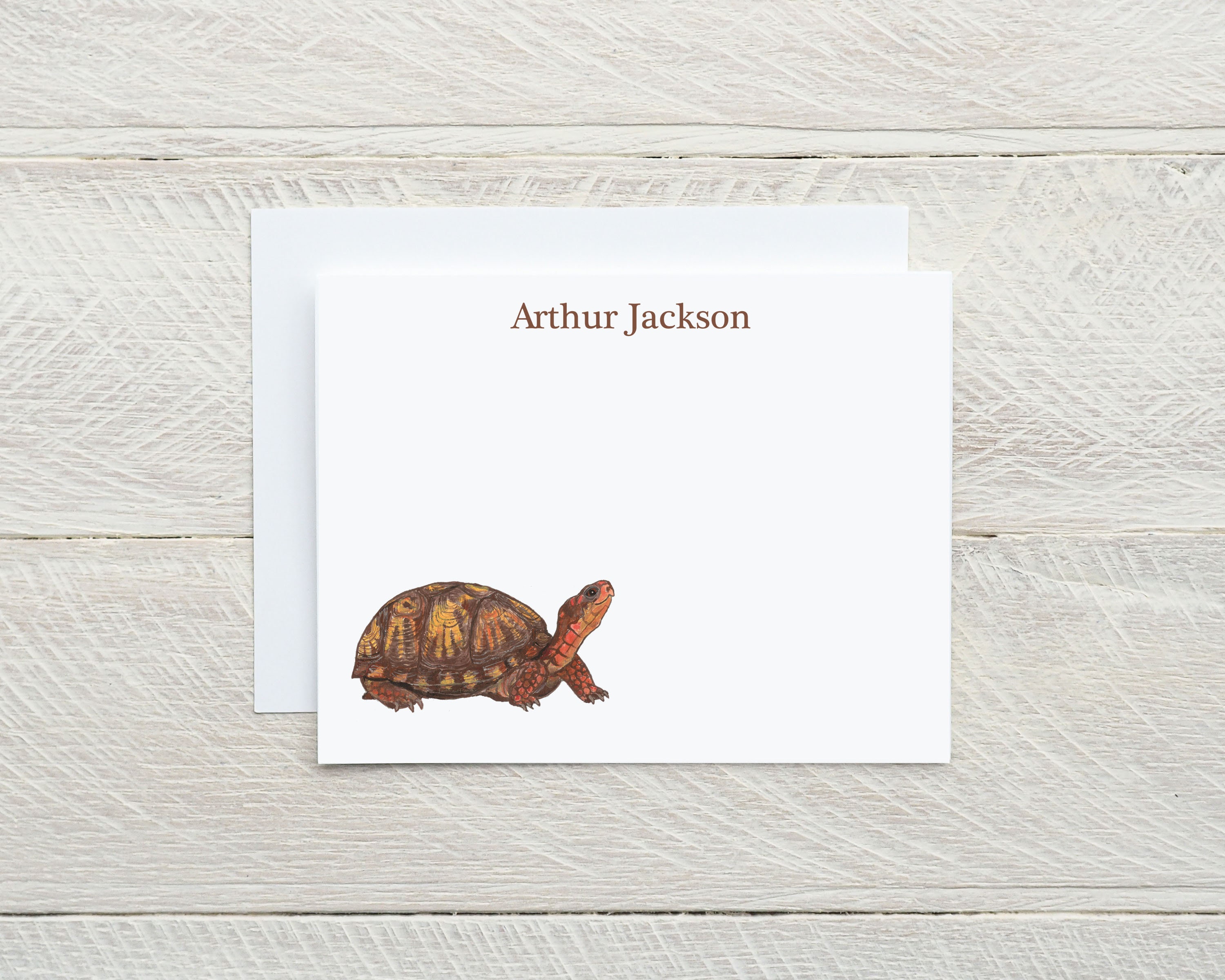 Personalized Turtle Stationery, Turtle Notecards, Box Turtle, Painted ...