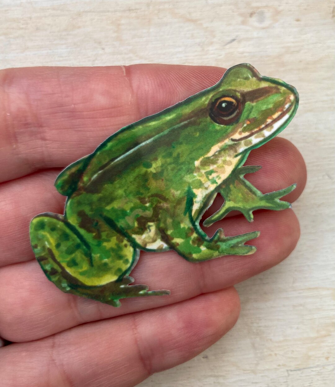 Frog Sticker, Water Resistant, Vinyl Decal, Nature Gift, Scrapbook ...