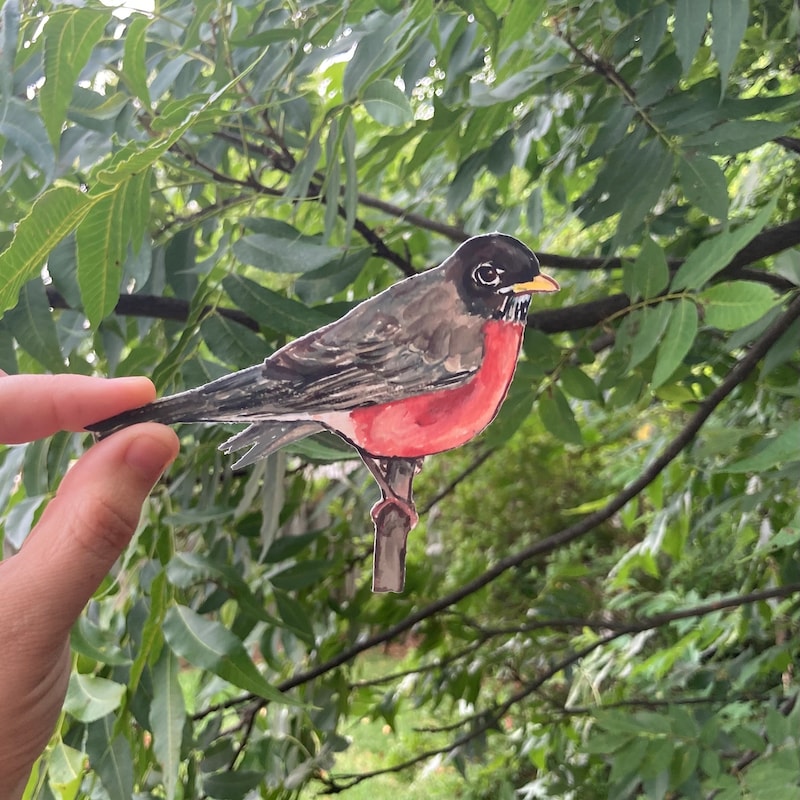 Robin Decal - Etsy