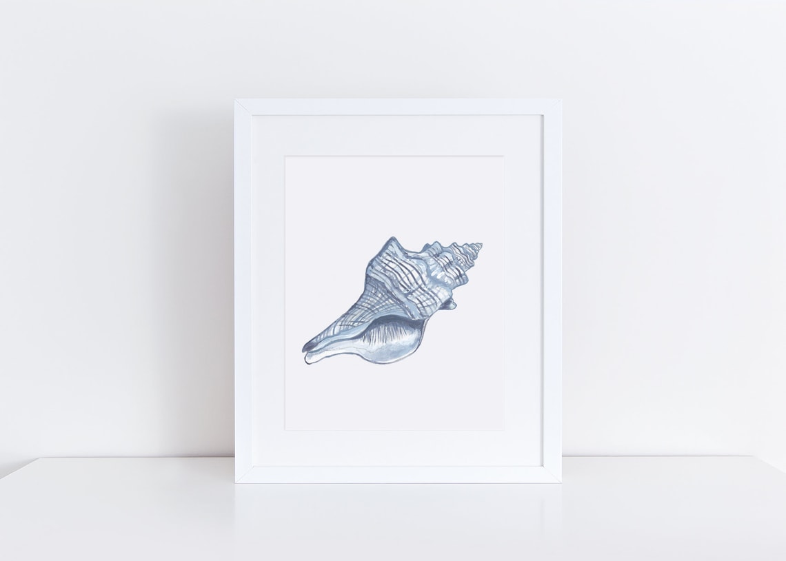 Conch Shell Print Blue Conch Seashell Print Ocean Wall Art - Etsy
