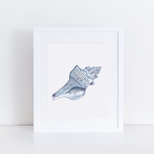 Conch Shell Print, Blue Conch, Seashell Print, Ocean Wall Art, Beach ...