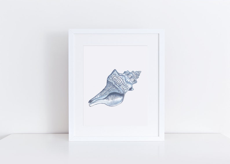 Conch Shell Print Blue Conch Seashell Print Ocean Wall Art - Etsy