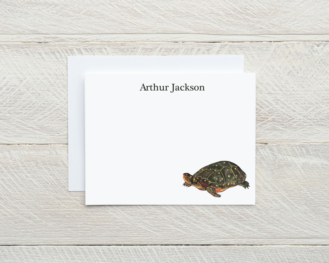 Personalized Turtle Stationery Turtle Notecards Box Turtle | Etsy