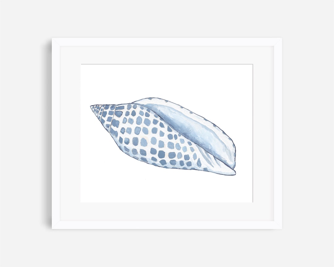 Junonia Shell Print, Blue Seashell Print, Sanibel, Beach Nursery, Ocean ...
