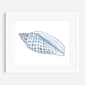 Junonia Shell Print, Blue Seashell Print, Sanibel, Beach Nursery, Ocean ...