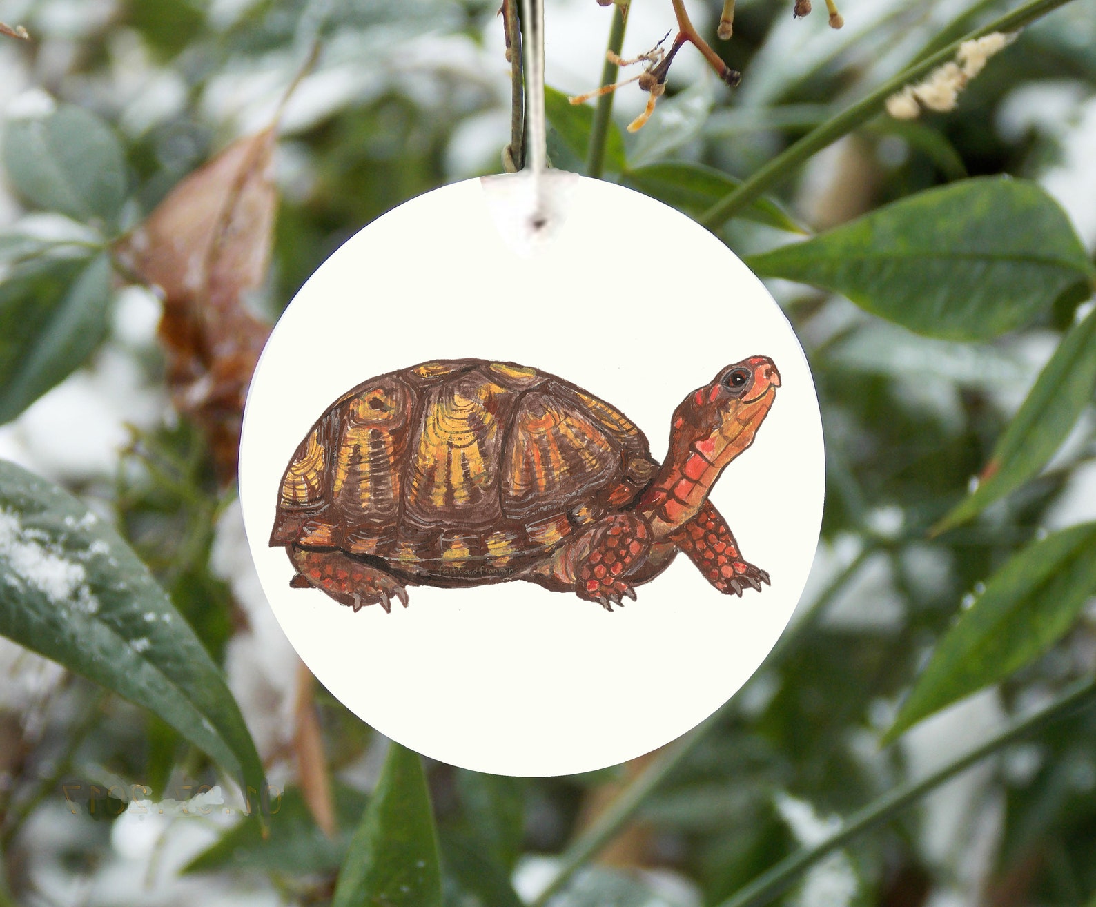 Box Turtle Ornament, Personalized Box Turtle Ornament, Realistic Turtle ...
