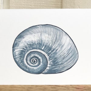 Seashell Notecards, Beach Stationery, Blue and White, Sand Dollar ...