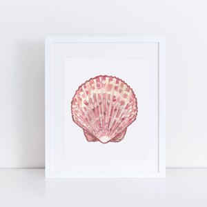 Scallop Shell Print, Scallop Shell Painting, Pink Seashell Art ...
