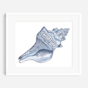 Conch Shell Print, Blue Conch, Seashell Print, Ocean Wall Art, Beach ...