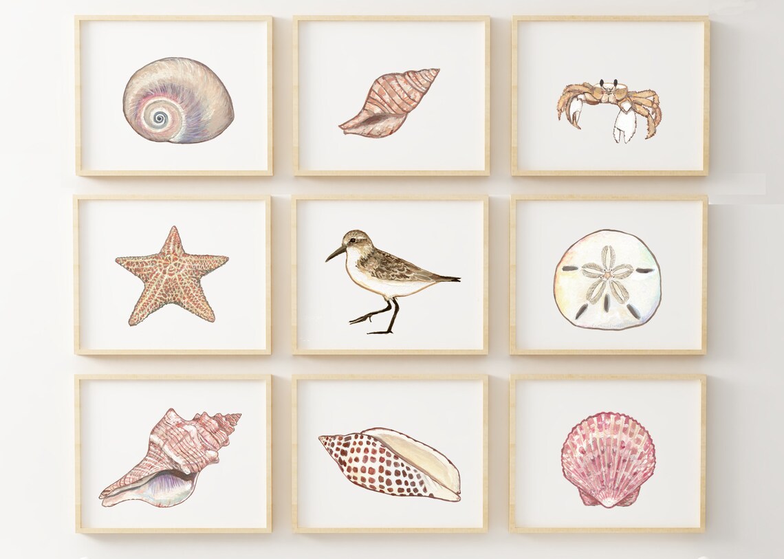 Scallop Shell Print Scallop Shell Painting Pink Seashell | Etsy