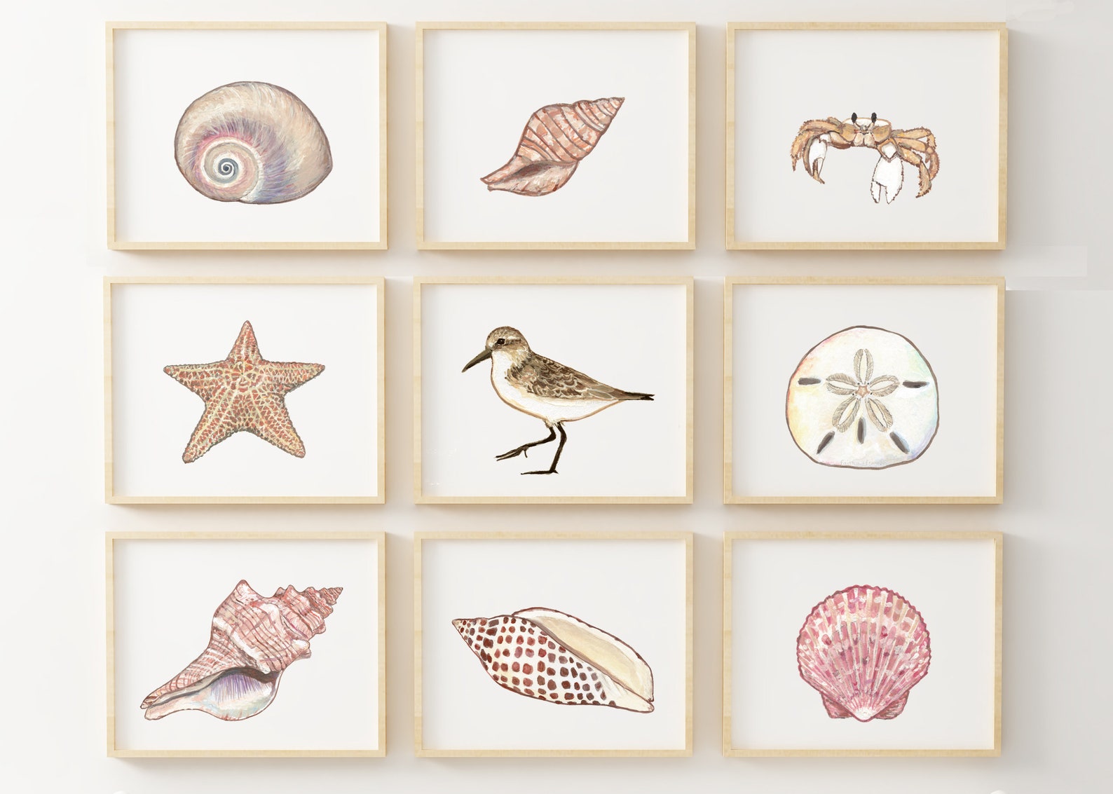 Scallop Shell Print Scallop Shell Painting Pink Seashell | Etsy