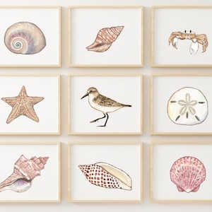 Scallop Shell Print, Scallop Shell Painting, Pink Seashell Art ...