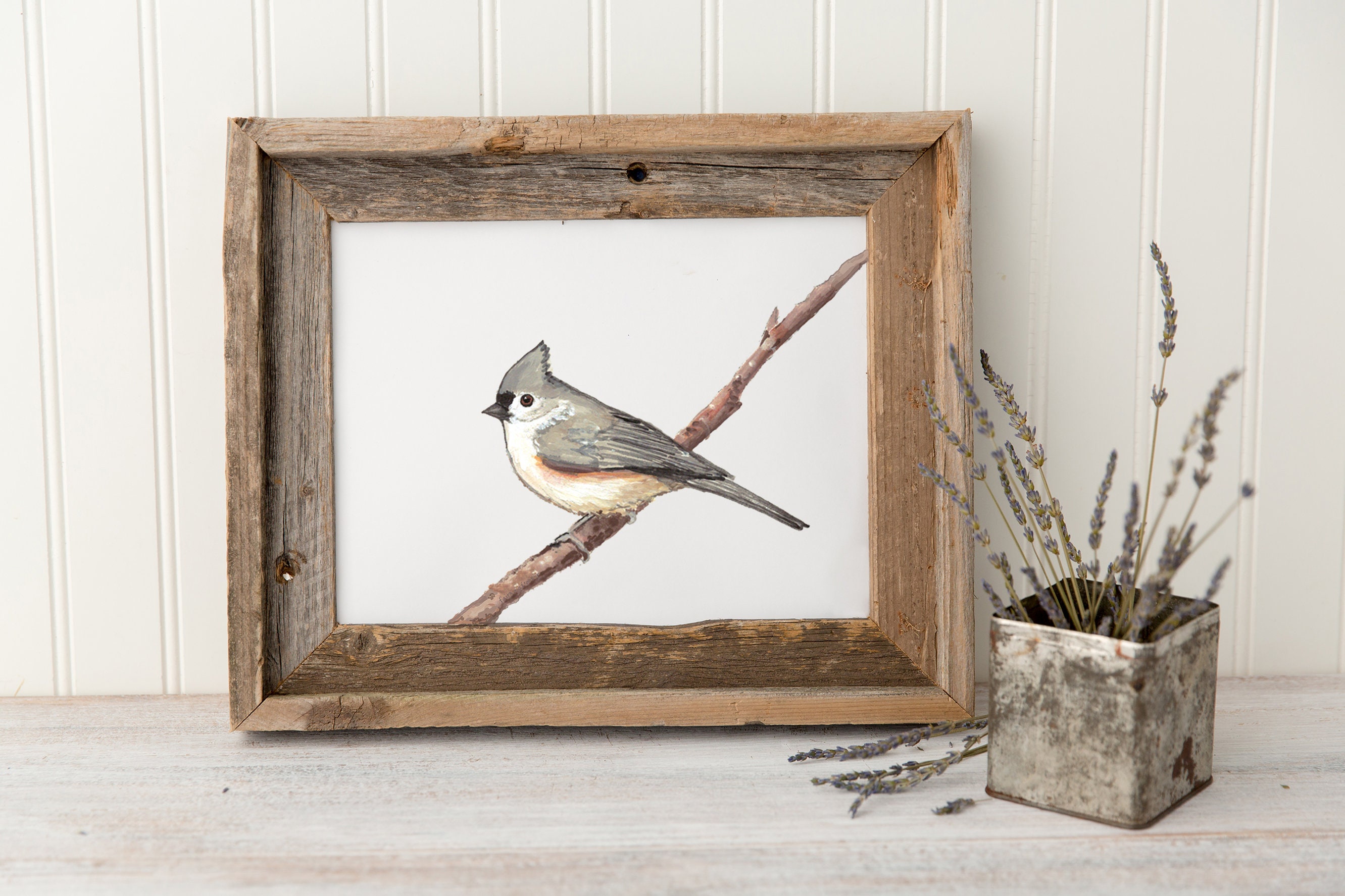 Tufted titmouse print tufted titmouse watercolor titmouse | Etsy