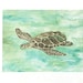 Sea Turtle Notecards, Eight Cards With Envelopes, Stationery Pack, 5.5 ...