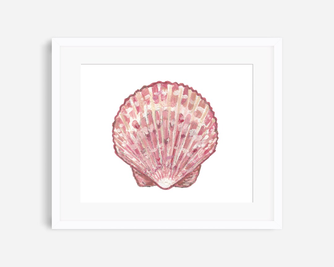 Scallop Shell Print, Scallop Shell Painting, Pink Seashell Art ...