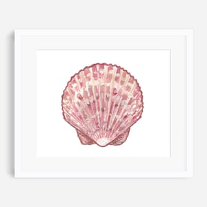 Scallop Shell Print, Scallop Shell Painting, Pink Seashell Art ...