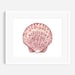 Scallop Shell Print, Scallop Shell Painting, Pink Seashell Art ...