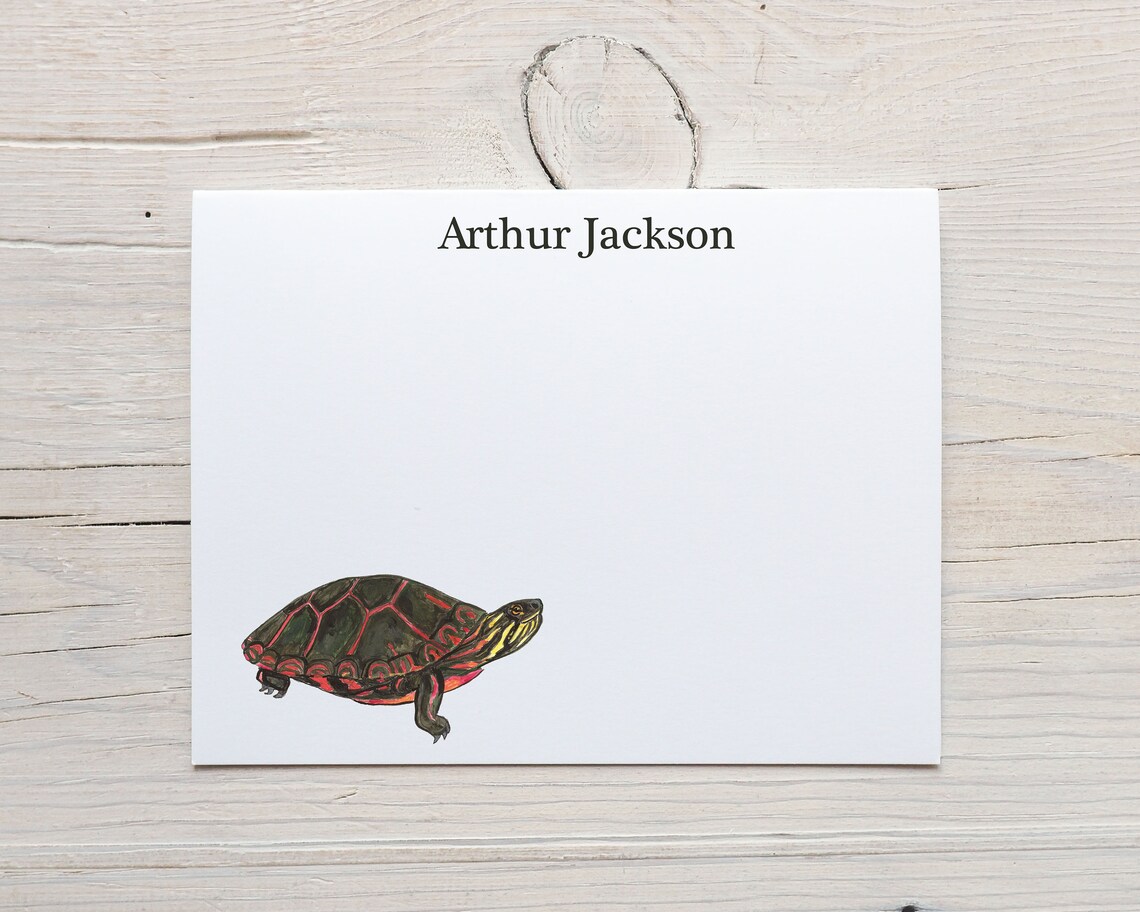 Personalized Turtle Stationery Turtle Notecards Box Turtle | Etsy