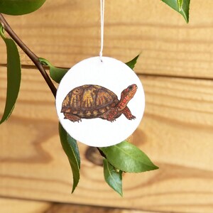 Box Turtle Ornament, Personalized Box Turtle Ornament, Realistic Turtle ...