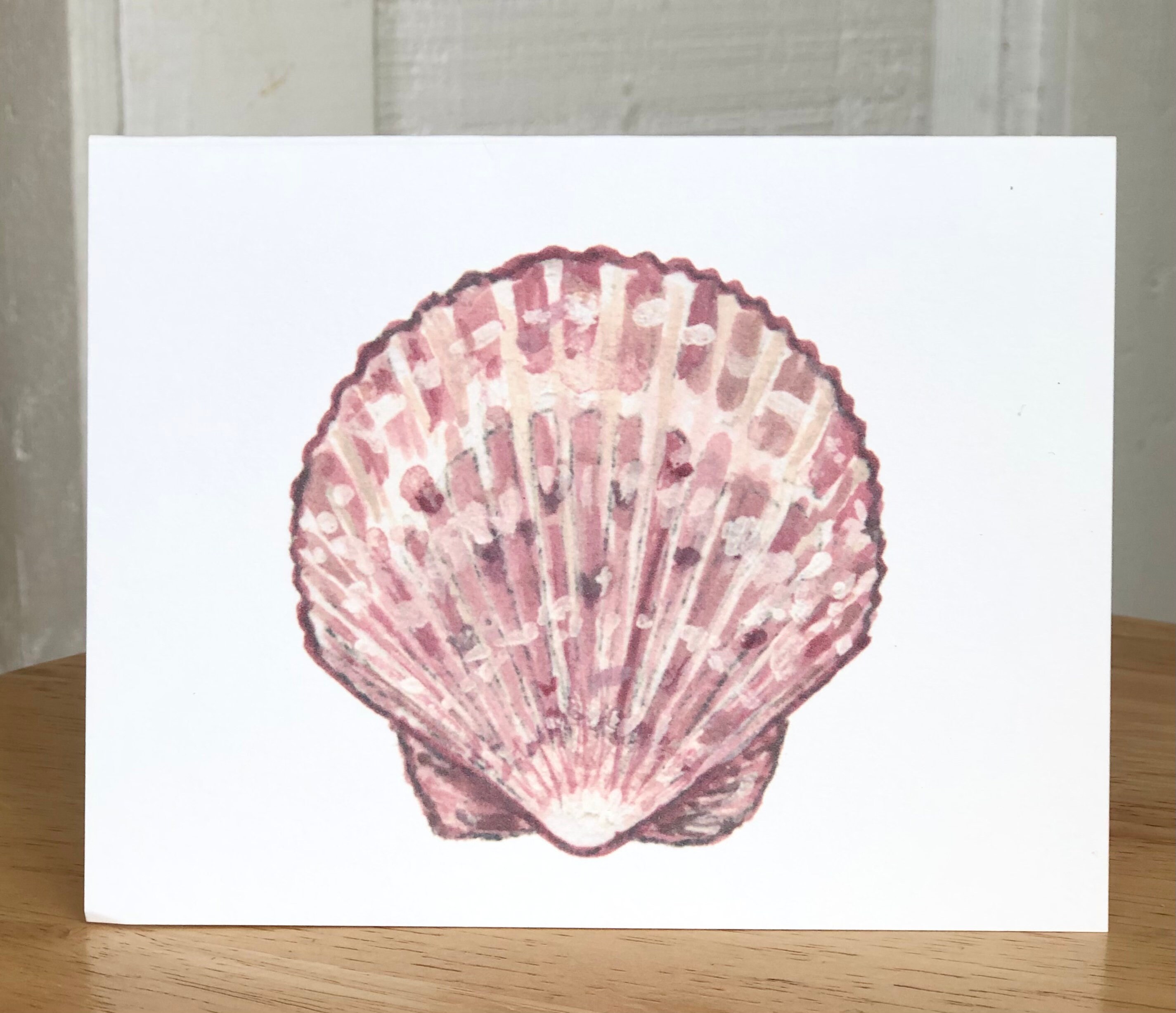 Beach notecards seashell notecards seashell stationery with | Etsy