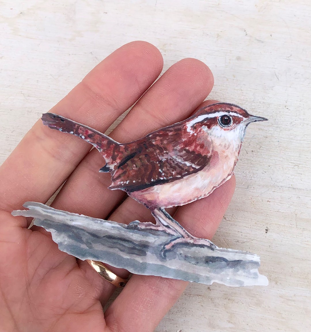 Wren Sticker, Water Resistant, Vinyl Sticker, Realistic Wildlife ...