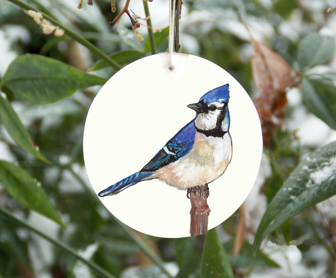 Blue Jay Ornament, Bird Christmas Tree Ornament, Songbird Christmas ...