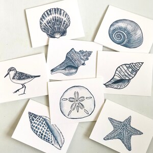 Seashell Notecards, Beach Stationery, Blue and White, Sand Dollar ...