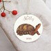 Box Turtle Ornament, Personalized Box Turtle Ornament, Realistic Turtle ...