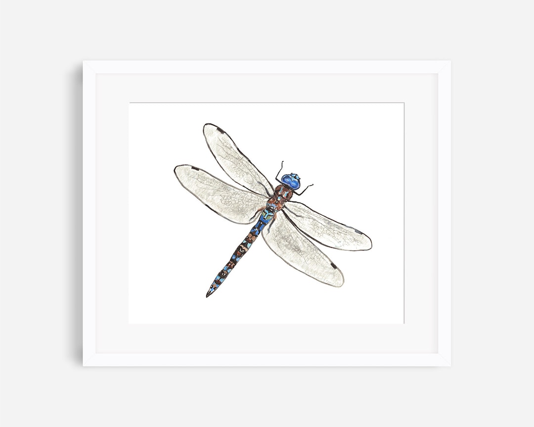 Dragonfly Print, Dragonfly Wall Art, Dragonfly Painting, Insect Print ...