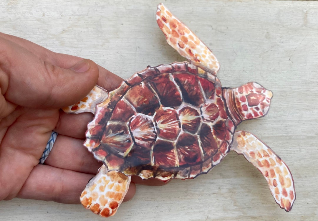 Loggerhead Sea Turtle Sticker, Water Resistant, Ocean Decal, Beach ...
