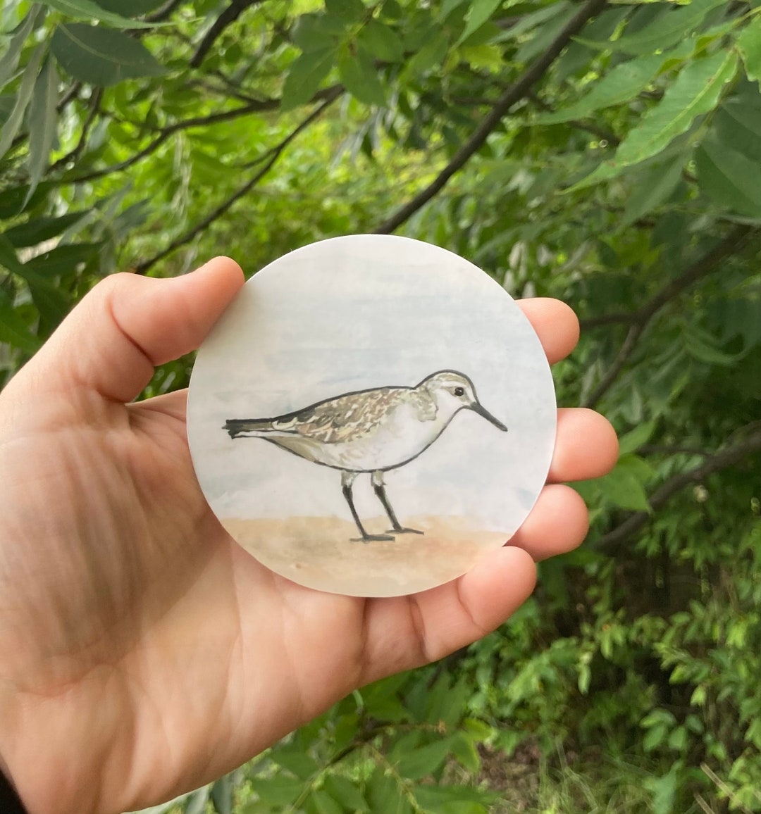 Sandpiper Sticker, Water Resistant, Vinyl Decal, Beach Lover Gift ...