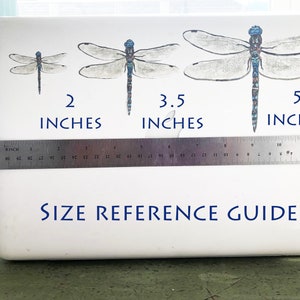 Conch Shell Sticker, Blue Seashell, Water Resistant, Beach Decal, Beach ...