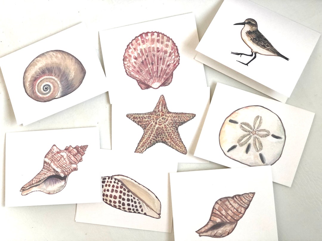 Beach Notecards, Seashell Notecards, Seashell Stationery With Envelopes ...
