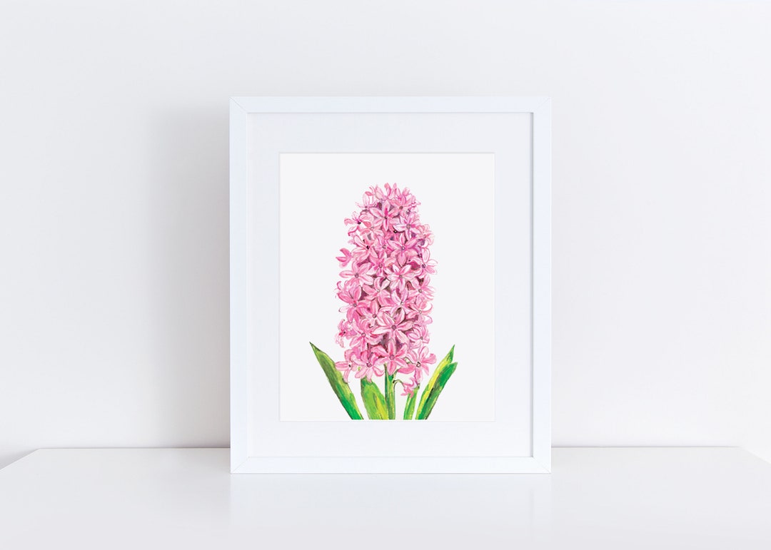 Hyacinth Print, Pink Flower Print, Botanical Wall Art, Garden Nursery ...