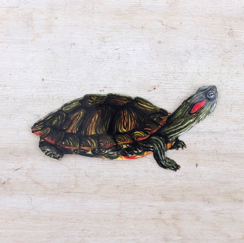 Turtle Sticker, Red Eared Slider, Water Resistant, Animal Decal ...
