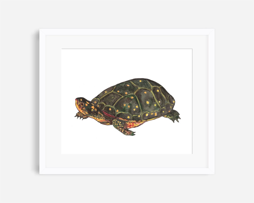Spotted Turtle Print, Turtle Painting, Turtle Wall Art, Nature Print ...